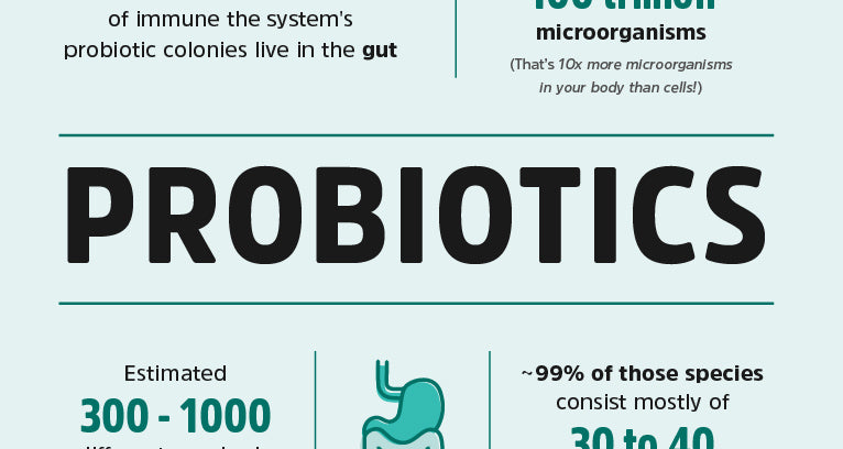 The Benefits of Probiotics & Where to Find Them – Zhou Nutrition