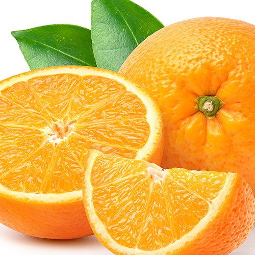 Daily Reds – Zhou Nutrition